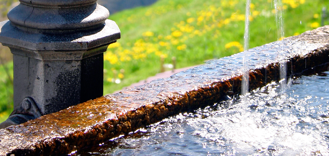 How Do You Water Your Foundation | 10 Useful Methods (2025)