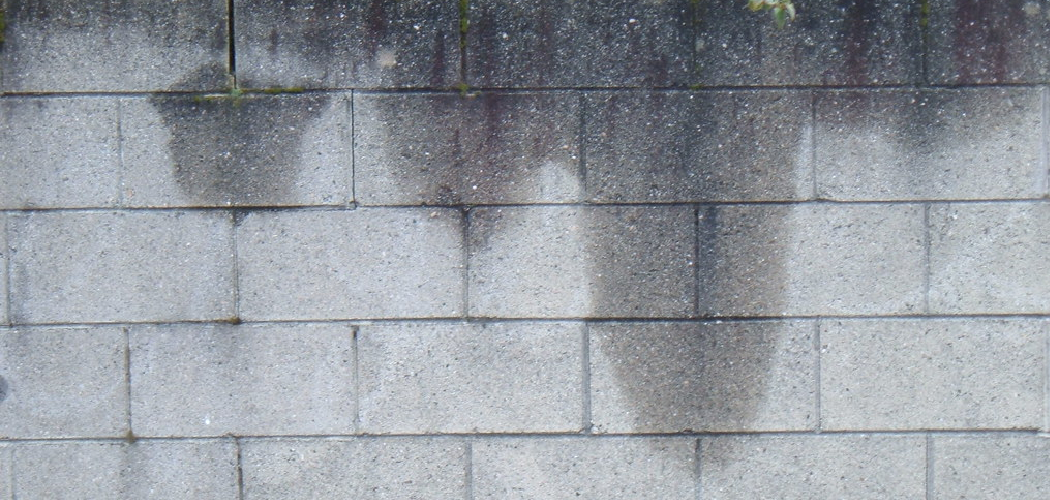 How to Stop Water Seepage in Brick Wall | 6 Effective Guide