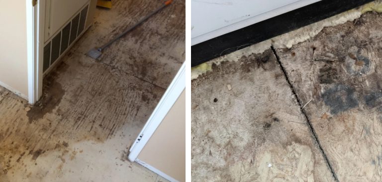 How to Fix Water Damaged Subfloor | 4 Step Guidelines (2025)