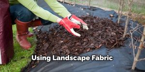 How to Put Post in Ground Without Concrete | 10 Easy Steps