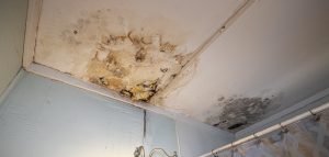 How to Fix Sagging Ceiling | 7 Easy Steps (2025)