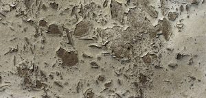 How to Fix Wall Scratches | 8 Easy Guides (2025)