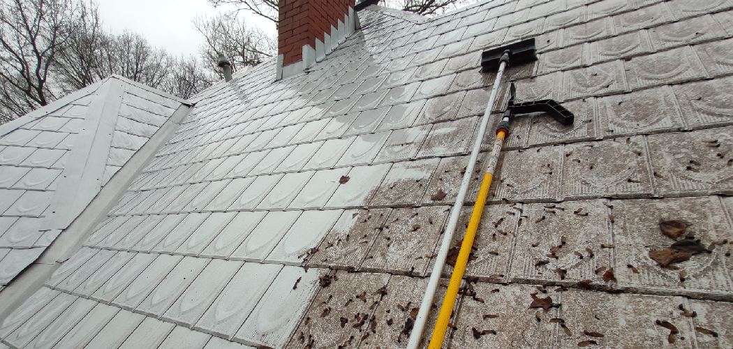 How to Remove Metal Siding | 10 Easy Methods (2025)