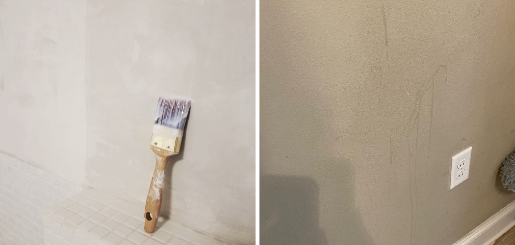 How to Protect Flat Paint on Walls | 7 Easy Steps (2026)